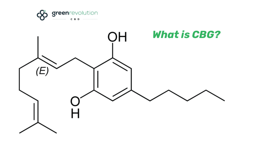 What are Cannabinoids - Types and Benefits | Green Revolution CBD